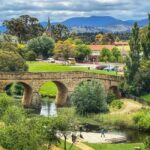 Bonorong Wildlife Sanctuary Half-Day Tour from Hobart - The Experience in Perspective
