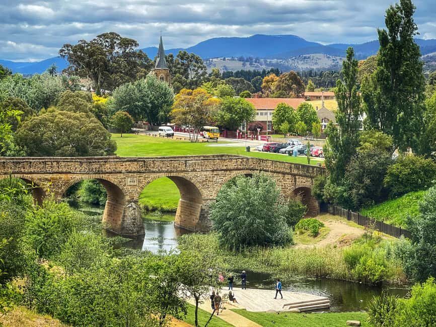 Bonorong Wildlife Sanctuary Half-Day Tour from Hobart - The Experience in Perspective