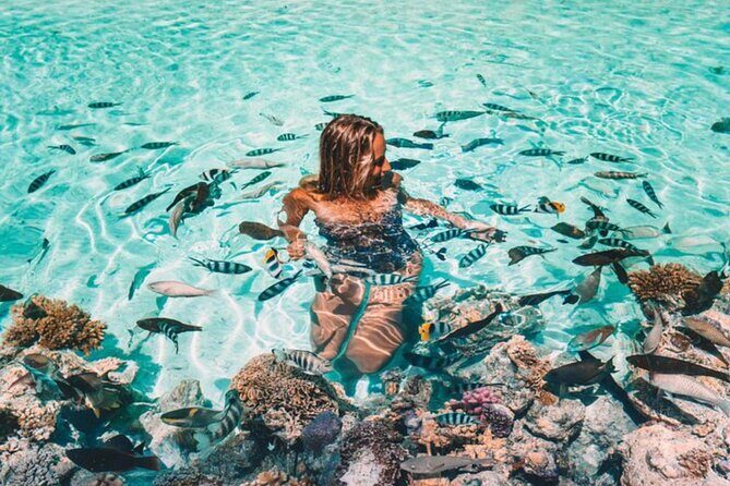 Bora Bora adventure Private Combo Jet Ski and Eco Sharks Snorkel - Lunch at Lucky House Restaurant