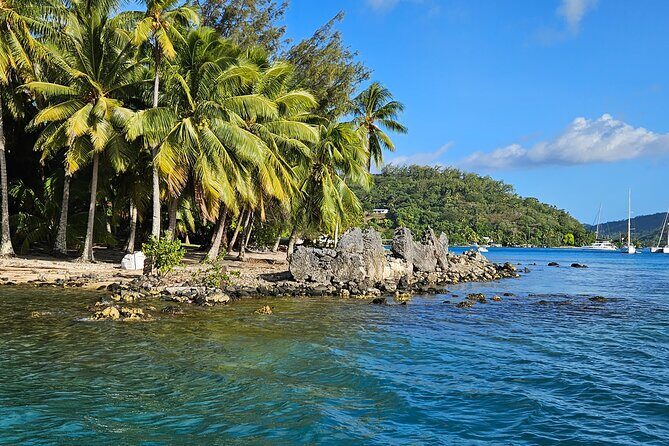Bora Bora Complete tour of the lagoon in 2H - Who Might Want More?