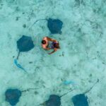 Bora Bora Eco Snorkel Cruise Including Snorkeling with Sharks and Stingrays - What the Reviews Say