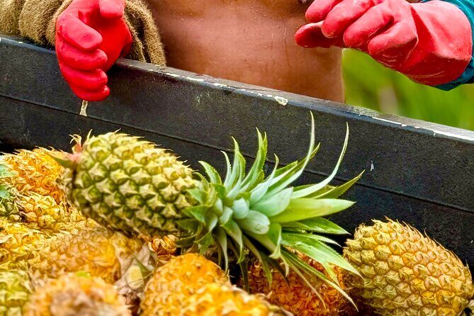 Bora Bora Gourmet Odyssey - Food Tour - Practical Details and Tips