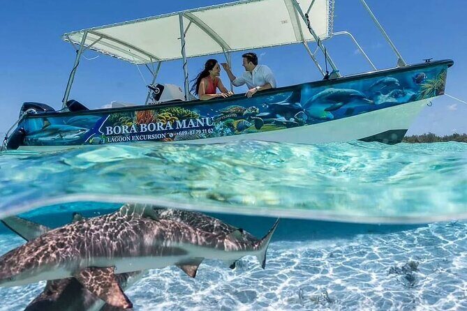 Bora Bora Half Day Manu Lagoon Excursion - The Value of the Tour