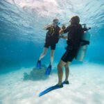 Bora Bora: Introductory Dive - The Sum Up: Who Is This Tour Best For?