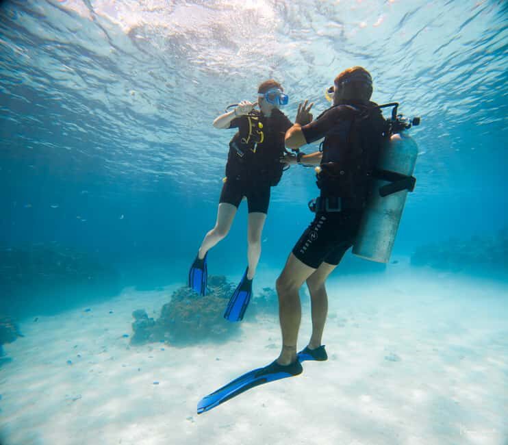 Bora Bora: Introductory Dive - The Sum Up: Who Is This Tour Best For?