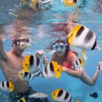 Bora Bora Jet Ski Tour, & Eco Shark / Ray Snorkel Cruise - Who Will Enjoy This Tour?