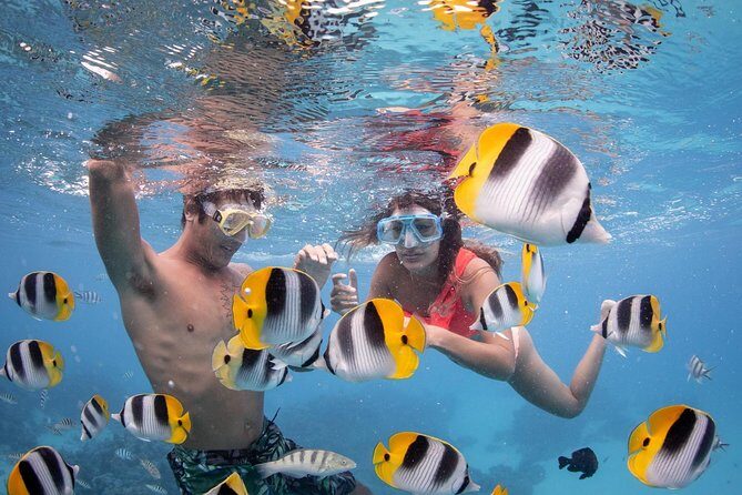 Bora Bora Jet Ski Tour, & Eco Shark / Ray Snorkel Cruise - Who Will Enjoy This Tour?