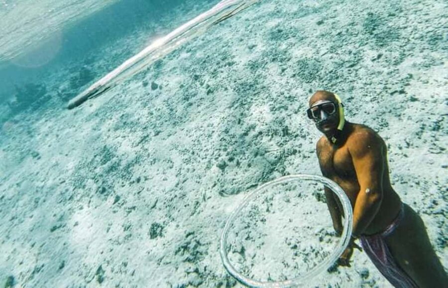 Bora Bora: Lagoon Snorkeling Half-Day Private Boat Tour - The Sum Up: Is It Worth It?