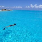 Bora Bora Lagoon Snorkeling Tour by Private Boat - The Sum Up