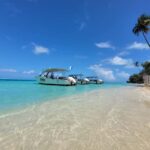 Bora Bora: Morning 2 tank dive for certified divers - Who Is This Tour Best For?