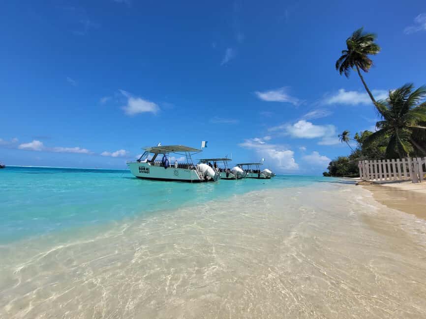 Bora Bora: Morning 2 tank dive for certified divers - Who Is This Tour Best For?