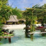Bora Bora Private Departure Hotels to Airport Transfer - What to Expect from the Experience