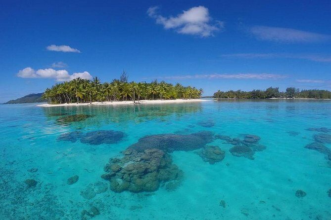 Bora Bora Private Lagoon Tours - Itinerary Breakdown: What to Expect