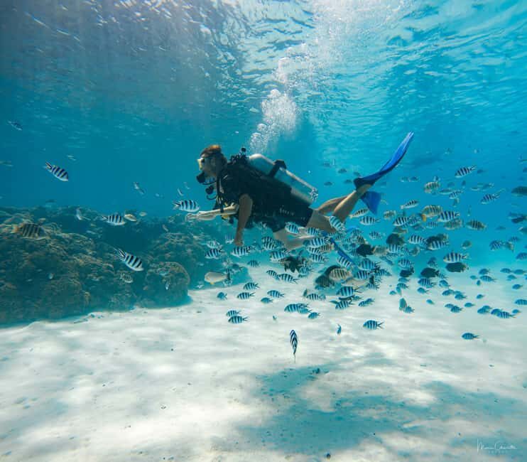 Bora Bora: Romantic Dive for Two People (Beginners) - FAQs