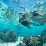 Bora Bora: Snorkeling and Fishing Tour with Lunch Option - Why This Tour Is Worth Considering