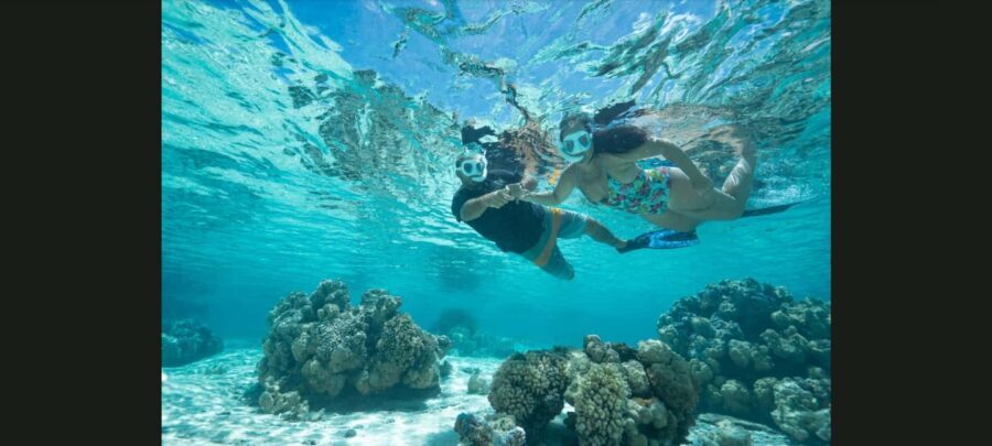 Bora Bora: Snorkeling and Fishing Tour with Lunch Option - Why This Tour Is Worth Considering