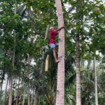 Borobudur: Cycling Tour and Explore Java Villages - Who Should Consider This Tour?