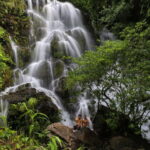 Botanic Garden Jungle Trek & Zipline Adventure Dark Cave - Whats Included and Whats Not