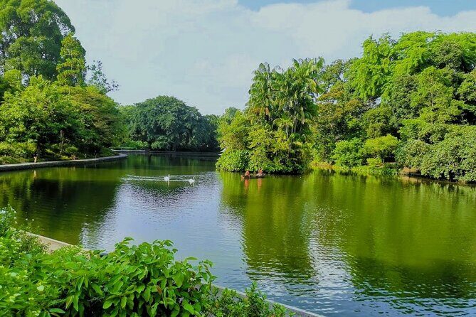 Botanic Gardens & Tiong Bahru Walking Tour with Breakfast - The Historic Black & White Houses and Learning Forest