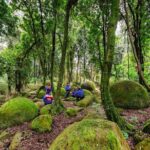Boulders Scenic Float Tour on the Rangitikei River - Who Will Love This Tour?