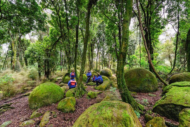 Boulders Scenic Float Tour on the Rangitikei River - Who Will Love This Tour?