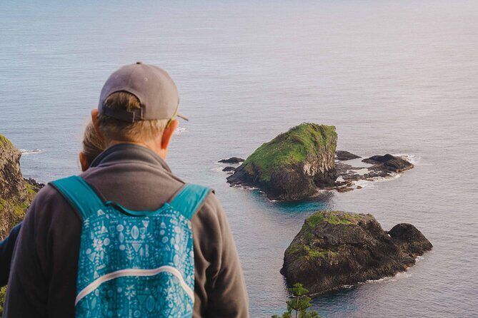 Breakfast Bushwalk & Clifftop BBQ Tour - Why This Tour Works for Different Travelers