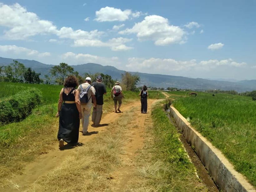 Breathe in Malinos Fresh Air & Explore the Flower City - Is This Tour Worth It?