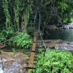 Bridges of Eden with Yumi Tours - Authentic Experiences and Traveler Insights