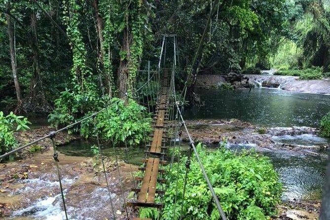 Bridges of Eden with Yumi Tours - Authentic Experiences and Traveler Insights