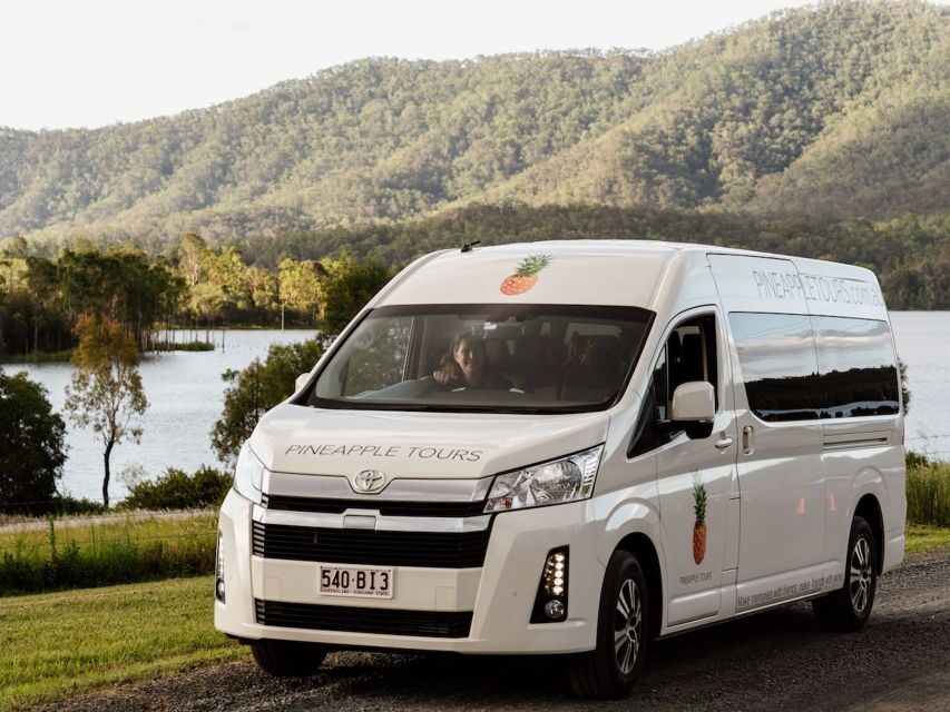 Brisbane: Daytime Glow Worm Caves Hop-on Hop-off Bus Tour - Final Thoughts: Who is This Tour Perfect For?