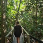 Brisbane Departure : Explore Tamborine Mountain Day Tour - The Value of the Experience