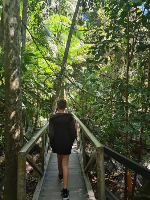 Brisbane Departure : Explore Tamborine Mountain Day Tour - The Value of the Experience