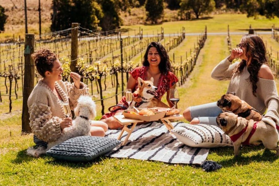 Brisbane: Picnic in the Vines - What’s Included and What’s Not