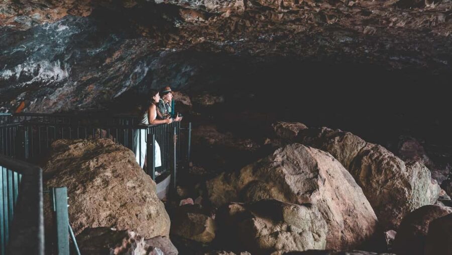 Brisbane: Rainforests, Waterfalls and Glow Worm Cave Tour - Who Will Love This Tour?
