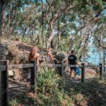 Brisbane: Sunshine Coast Hinterland & Noosa Small Group Tour - FAQs