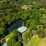 Brisbane: Tamborine Mountain Local Winery Tour with Lunch - Detailed Review of the Tamborine Mountain Winery Experience
