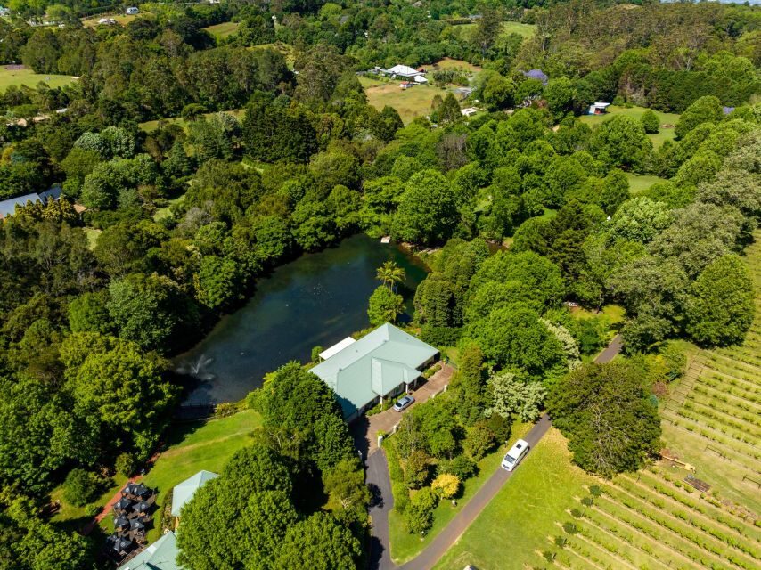 Brisbane: Tamborine Mountain Local Winery Tour with Lunch - Detailed Review of the Tamborine Mountain Winery Experience