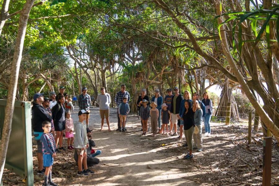 Broken Head Aboriginal Tour - Final Thoughts: Who Will Love This Tour?