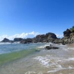 Broken Head: Nature Reserve Guided Eco-Tour with Beach Visit - The Itinerary: A Day in the Nature Reserve