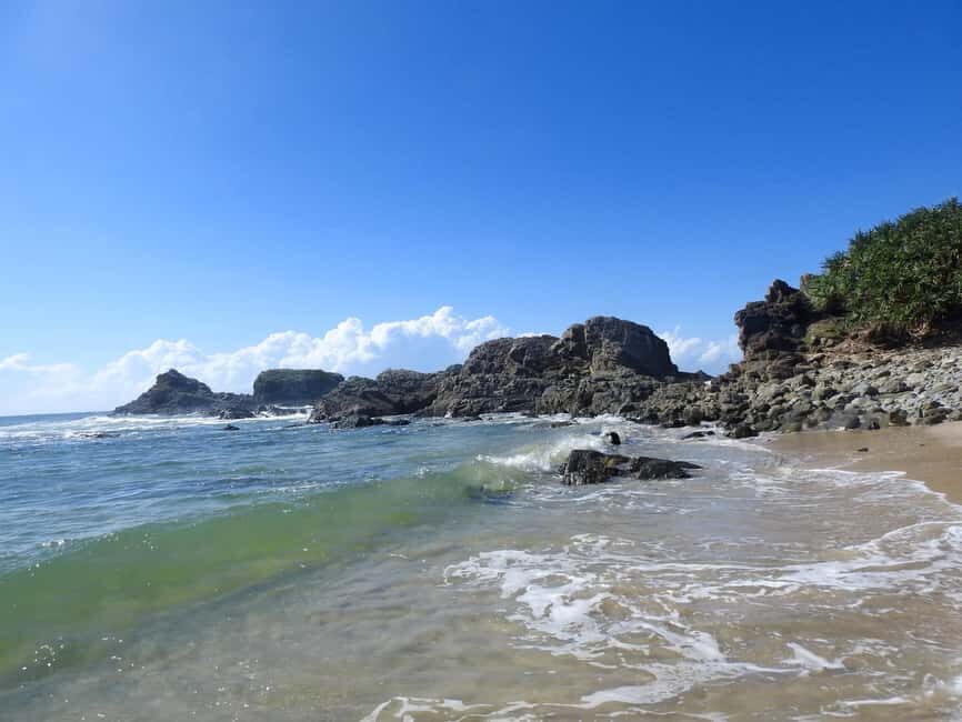 Broken Head: Nature Reserve Guided Eco-Tour with Beach Visit - The Itinerary: A Day in the Nature Reserve