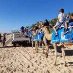 Broome: 45-Minute Pre-Sunset Cable Beach Camel Ride - Key Points