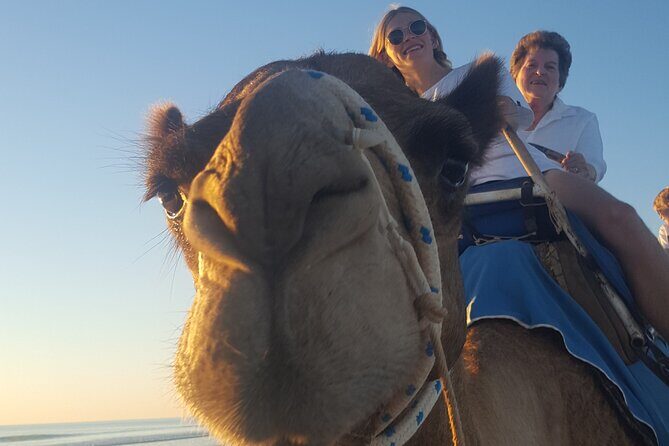 Broome Pre-sunset Camel Tour 30 minutes - The Value of This Tour