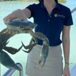Broome's only Crabbing Adventure & Wildlife Cruise - What Previous Travelers Say