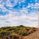 Bruny Island Day Tour Private Charter Service - The Itinerary in Detail