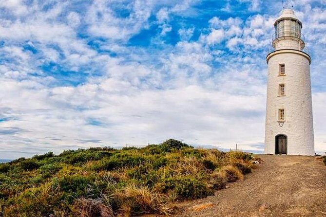 Bruny Island Day Tour Private Charter Service - The Itinerary in Detail