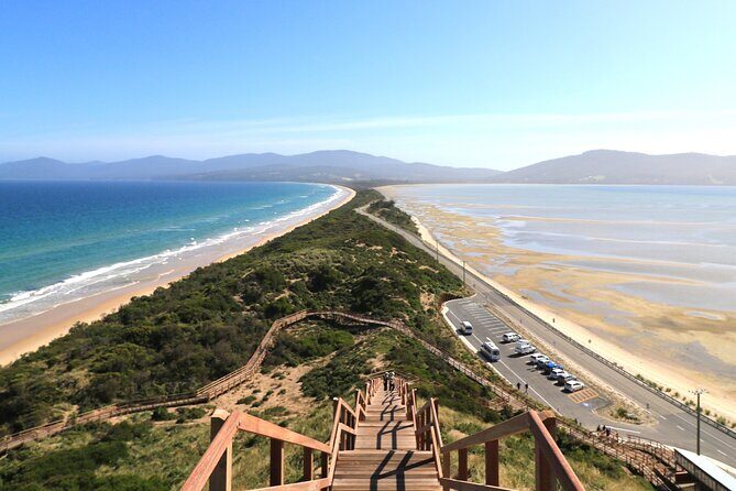 Bruny Island Small-Group Guided Tour From Hobart - Why This Tour Delivers Real Value