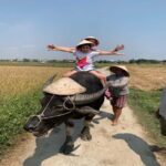 BUFFALO RIDING -BASKET BOAT & BIKE TOUR-HOI AN - Practical Details and Value