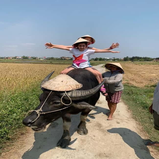 BUFFALO RIDING -BASKET BOAT & BIKE TOUR-HOI AN - Practical Details and Value