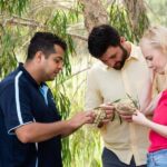 Bundaberg: Half Day Indigenous Experience with Morning Tea - Who Will Love This Tour?