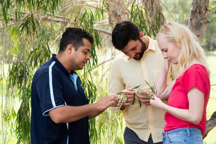 Bundaberg: Half Day Indigenous Experience with Morning Tea - Who Will Love This Tour?